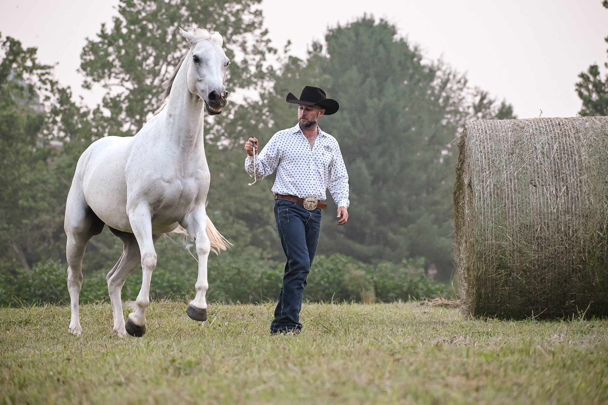 The Art of Freestyle Dancing with Horses - Equus Magazine