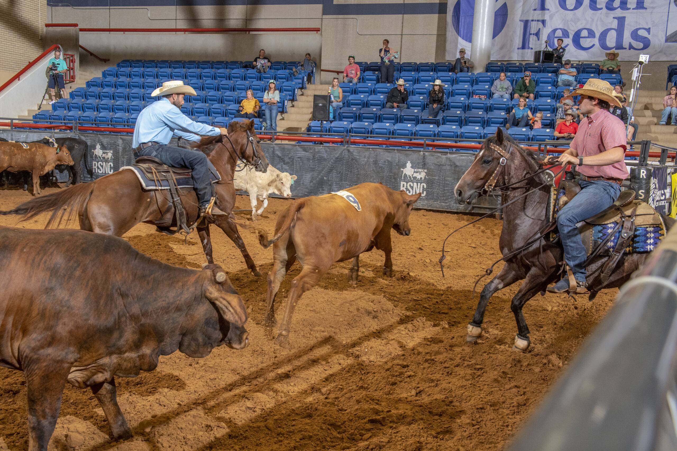 Equine Network adds Cinch RSNC to best-in-class event lineup - Equus ...