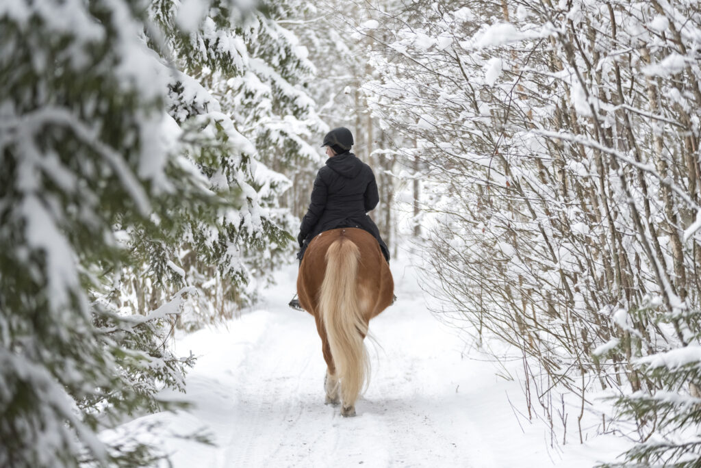 Get the most out of winter rides - Equus Magazine