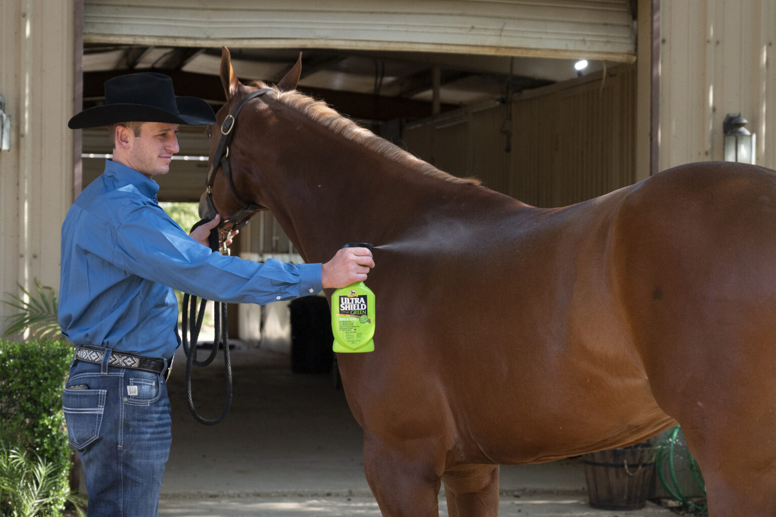 Fly Control for Sensitive Horses - Equus Magazine