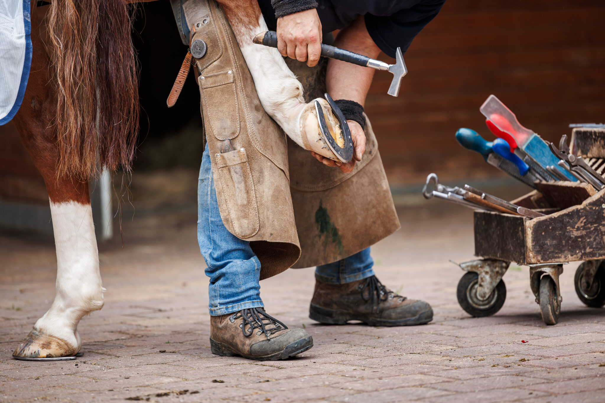 4 ways to make your property farrier friendly - Equus Magazine