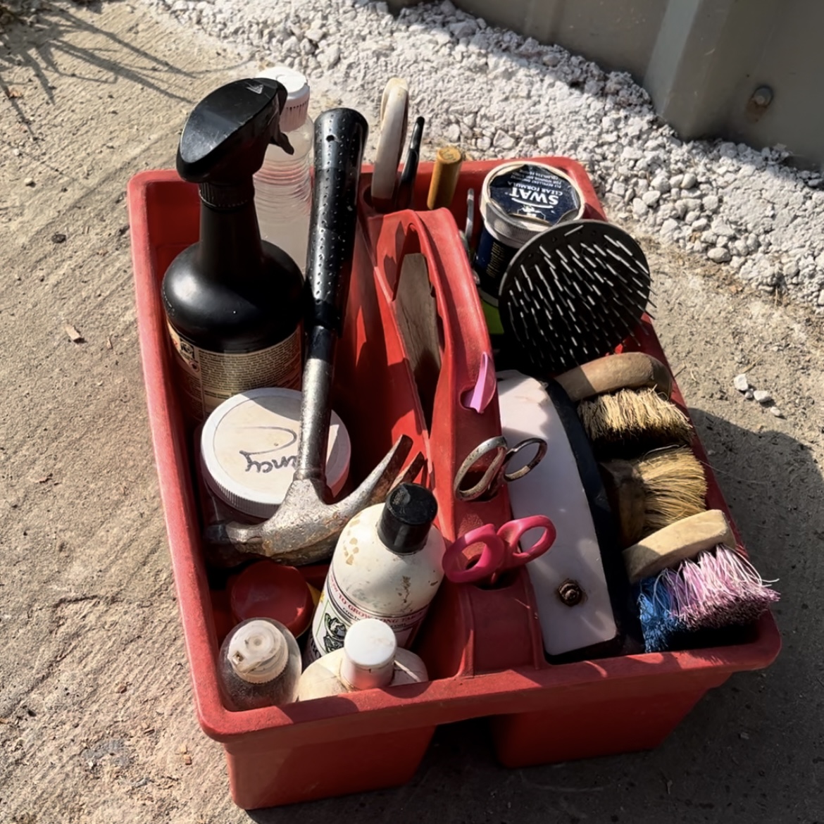 Hammering home a lesson - Equus Magazine