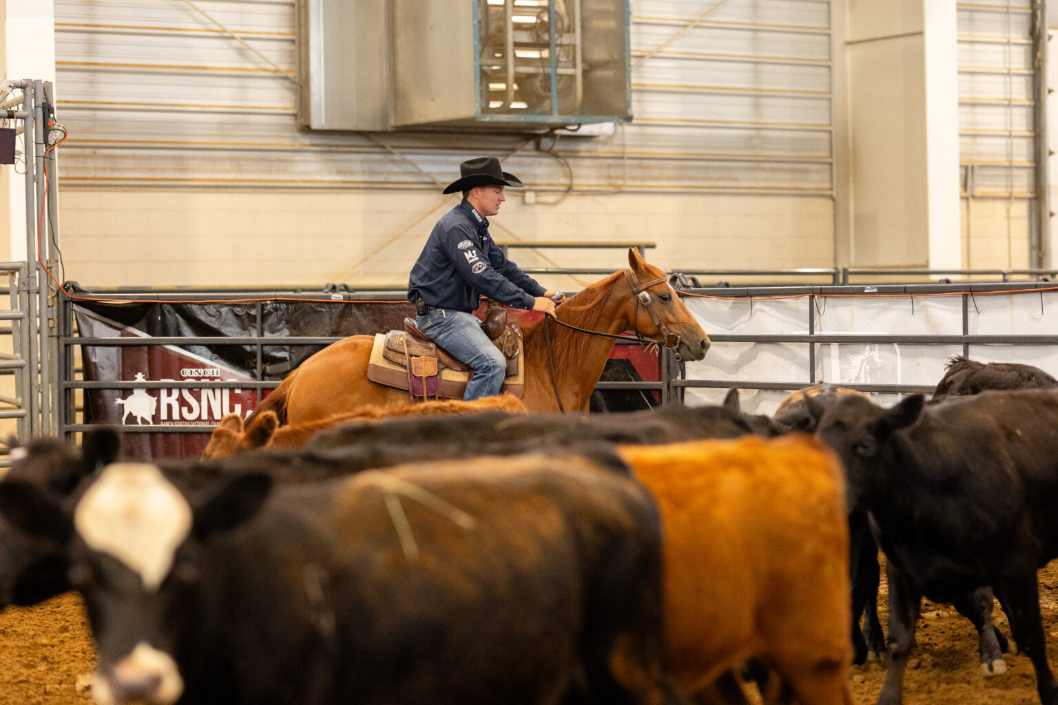 Ranch sorting now on Ride TV - Equus Magazine
