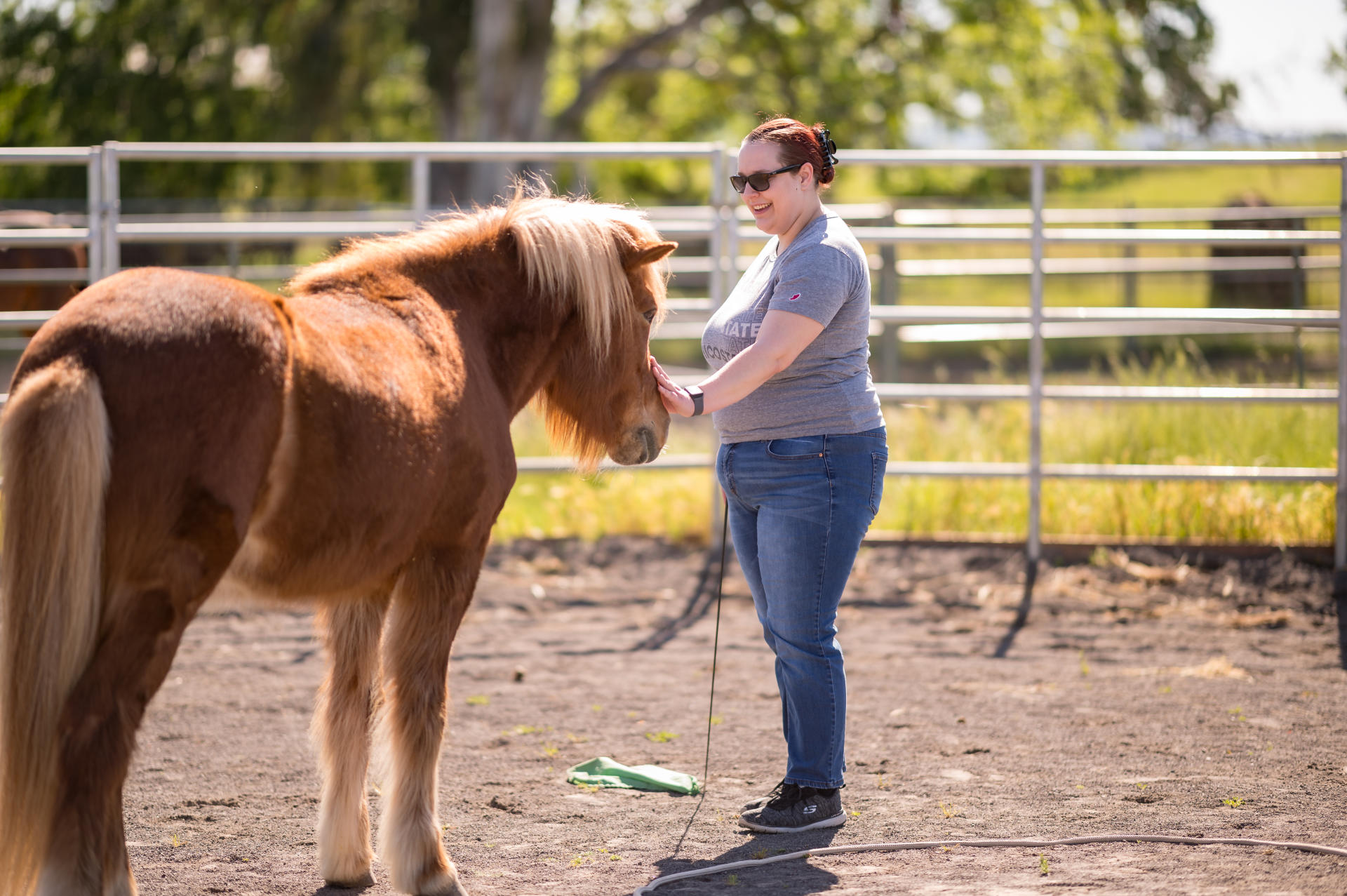 Education students build confidence with help from horses - Equus Magazine