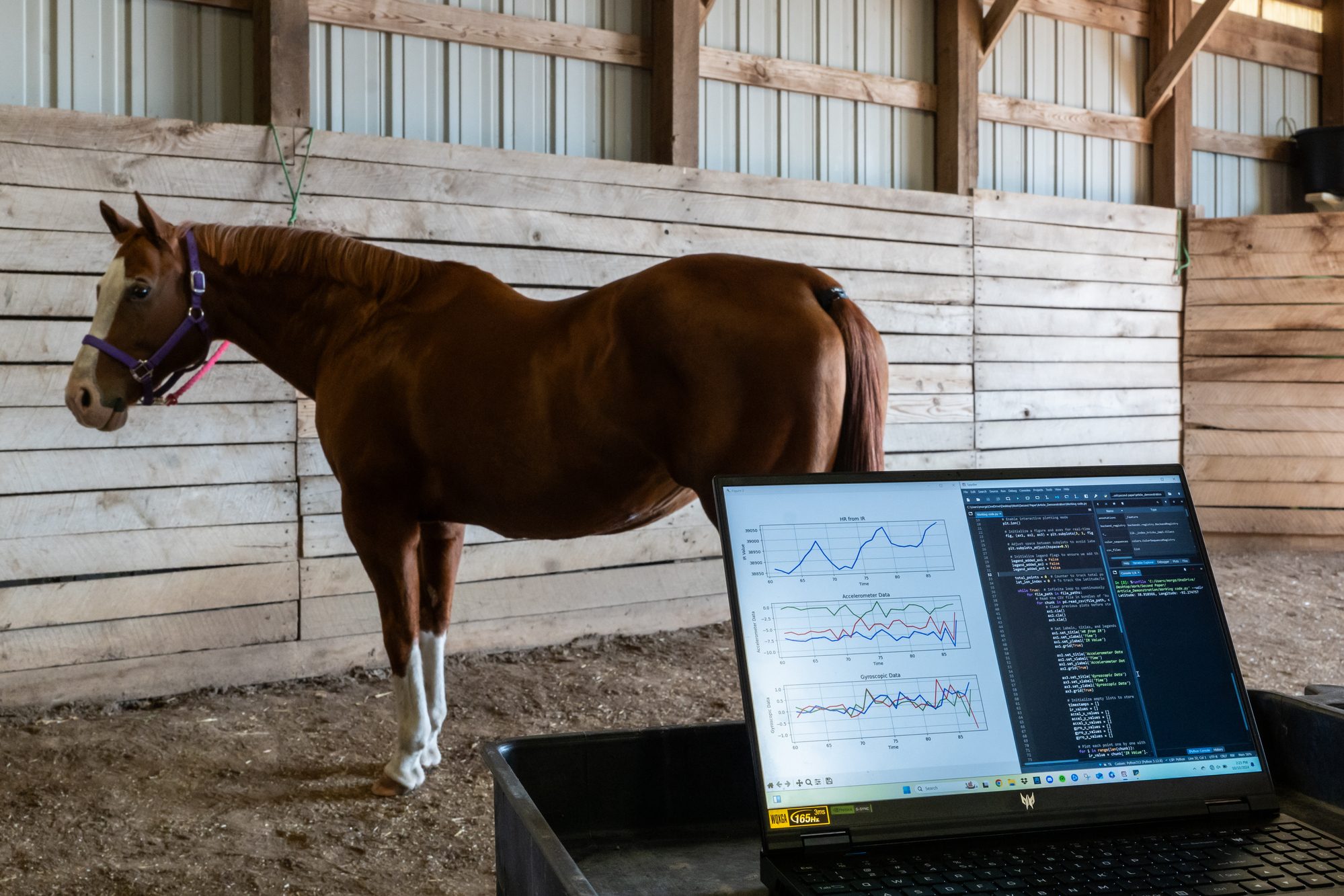 Sensing equine well-being - Equus Magazine