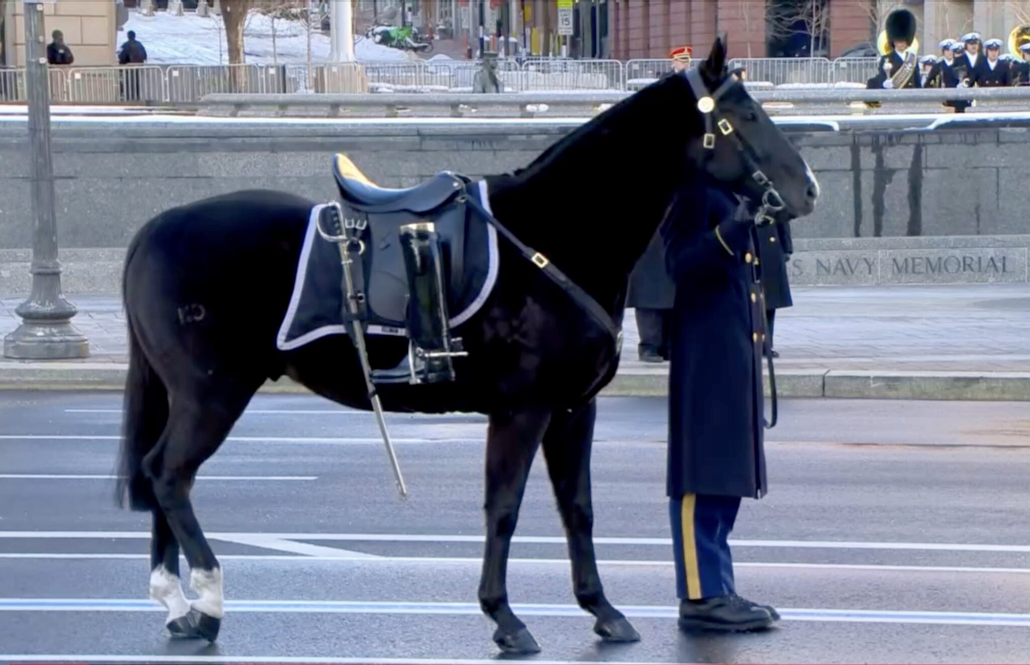 Army Old Guard announces plan for improved caisson horse care - Equus ...