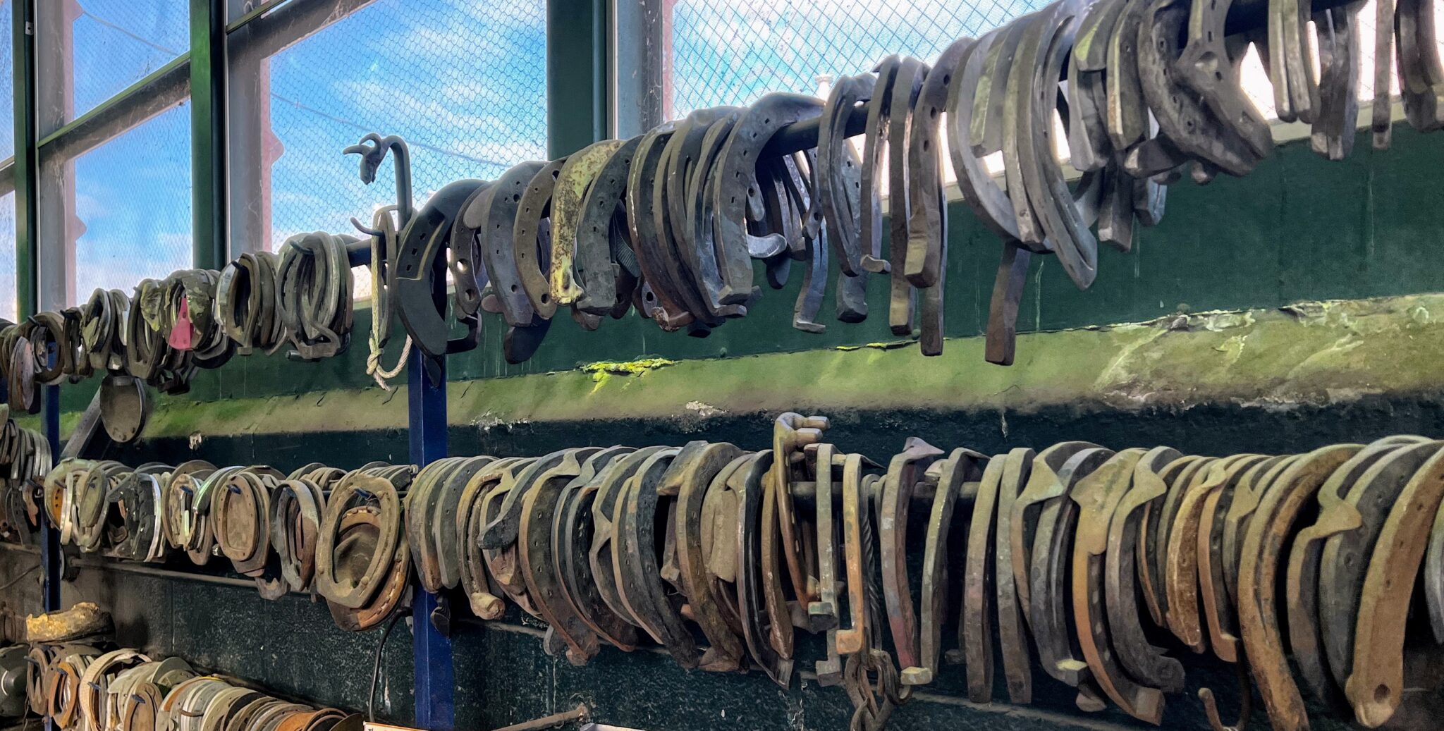 Farriery credentials explained - Equus Magazine