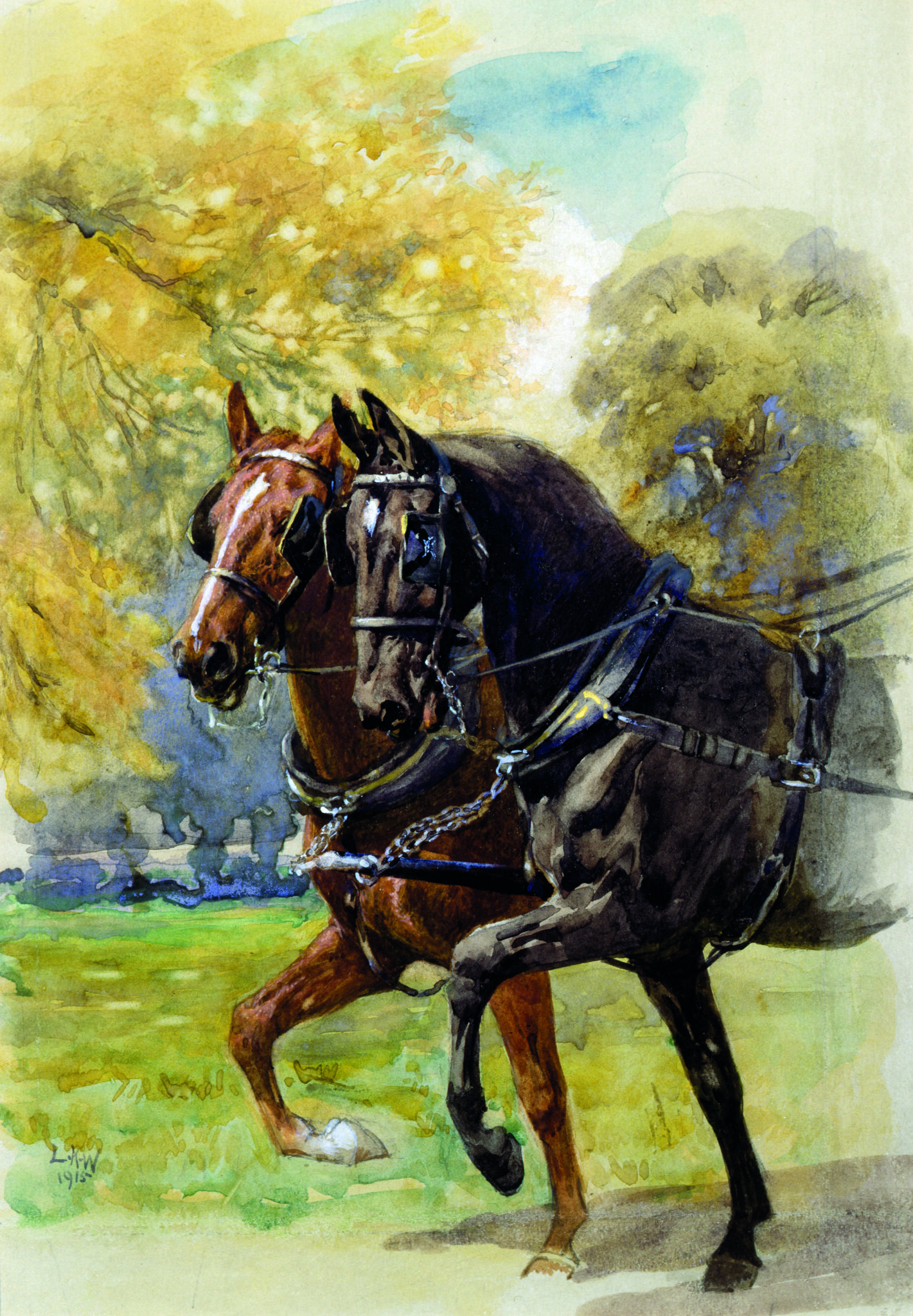 The timeless horses of Lucy Kemp-Welch - Equus Magazine