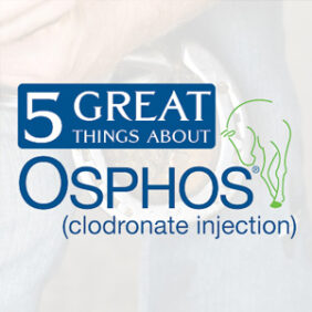 Home - Equus Magazine