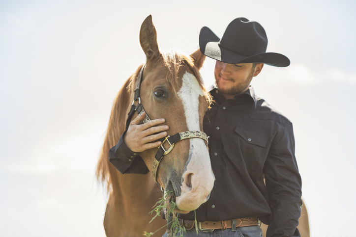 Study: Owner personality, attachment style shape interactions with ...