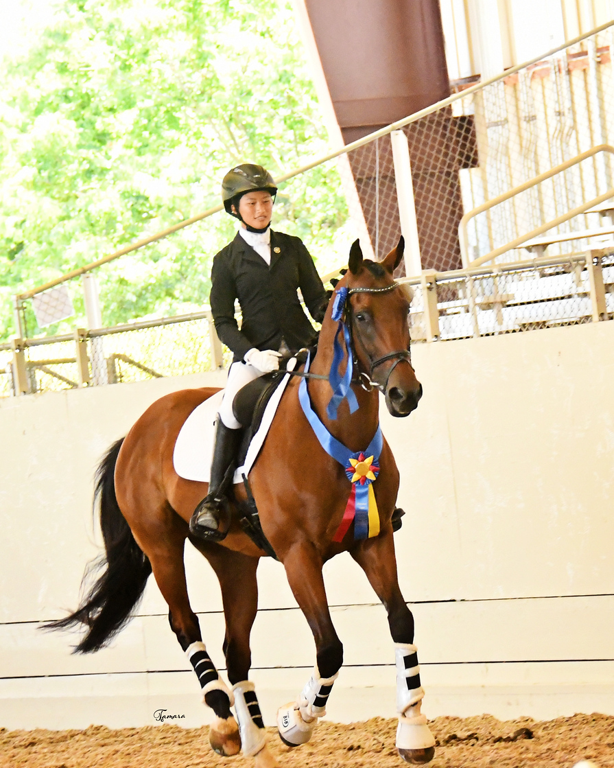 Therapy Horse Named Jockey Club T.I.P.'s 2022 Thoroughbred of the Year