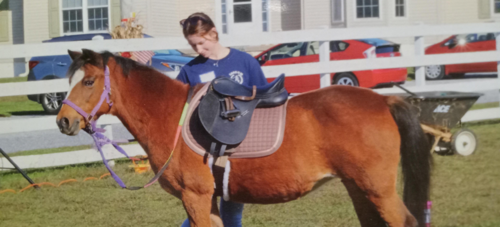 Therapy Horse of the Week: Hanna - Hope in the Saddle