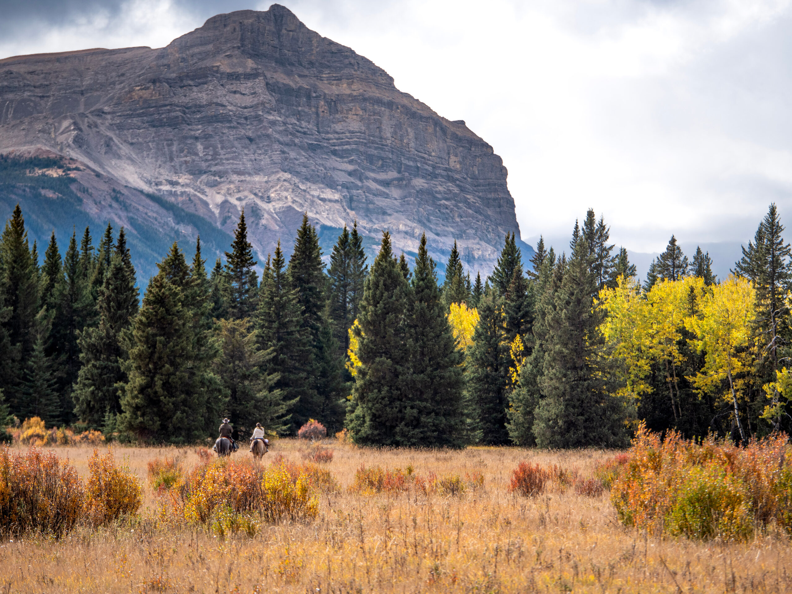 Hunting-Season Safety Guide