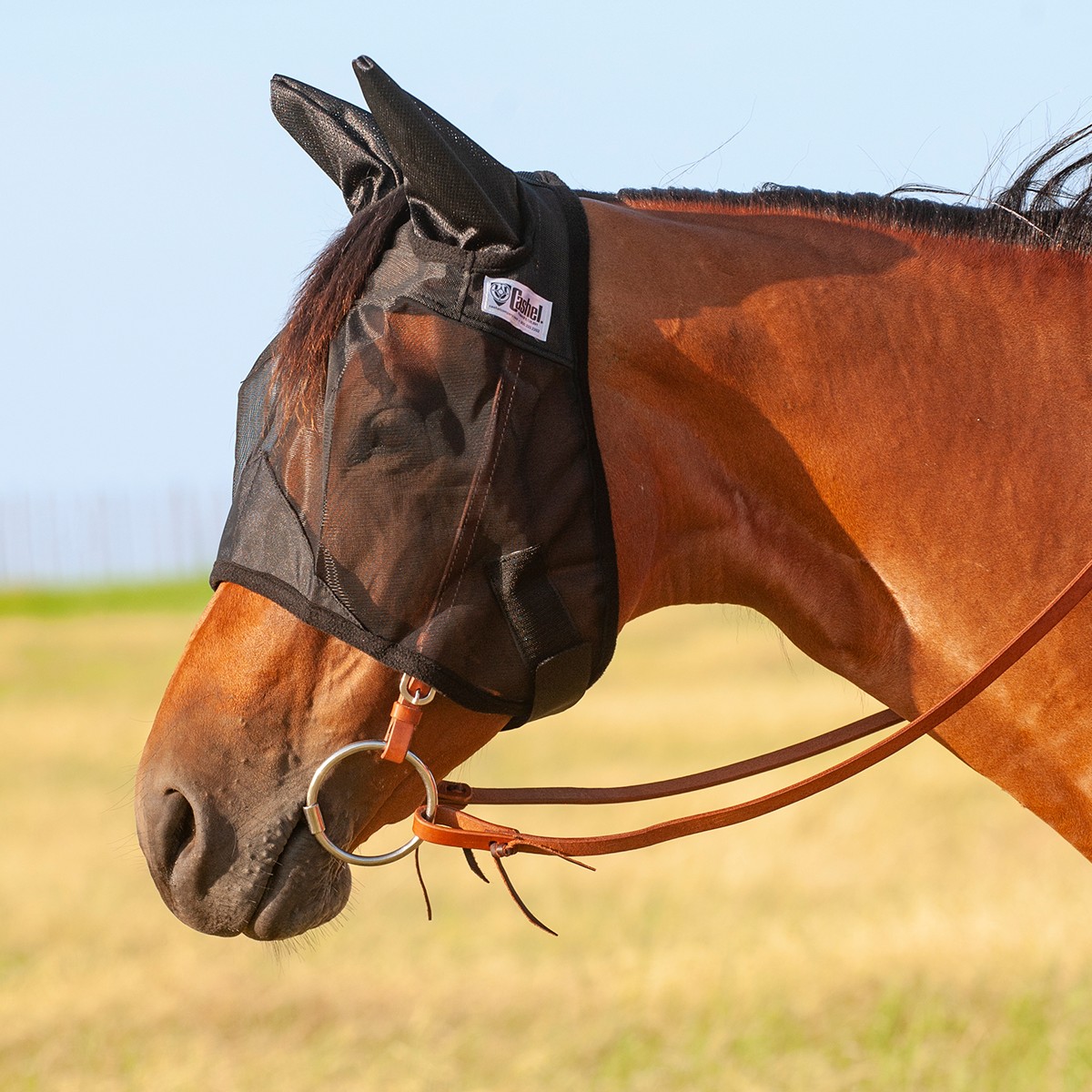 Do's & Don'ts of Horse Fly Masks