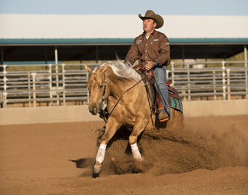 A Meeting of the Minds - Horse and Rider