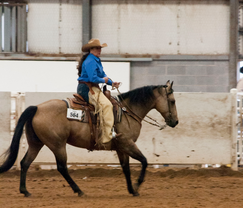 Gallop Poll: Fan of Ranch Horse Pleasure?