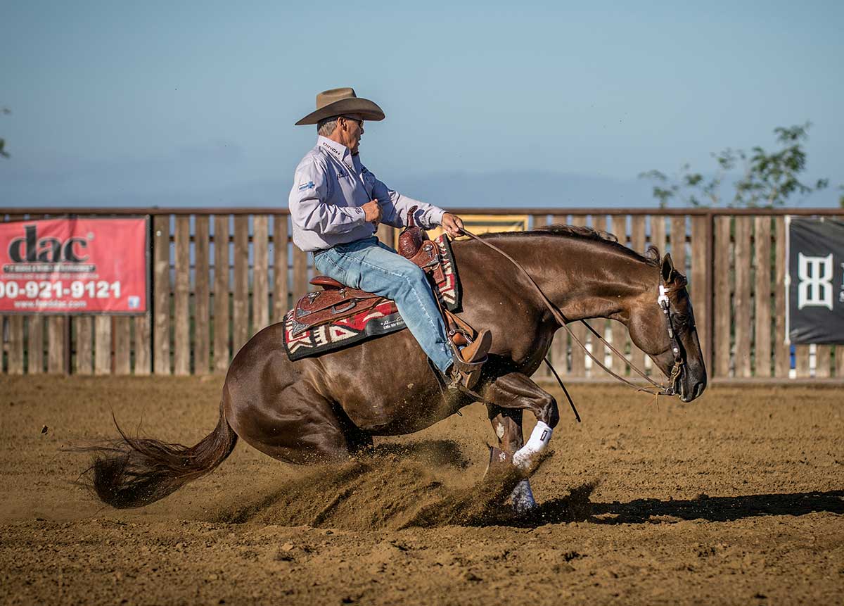 Remembering Bob Avila - Horse and Rider