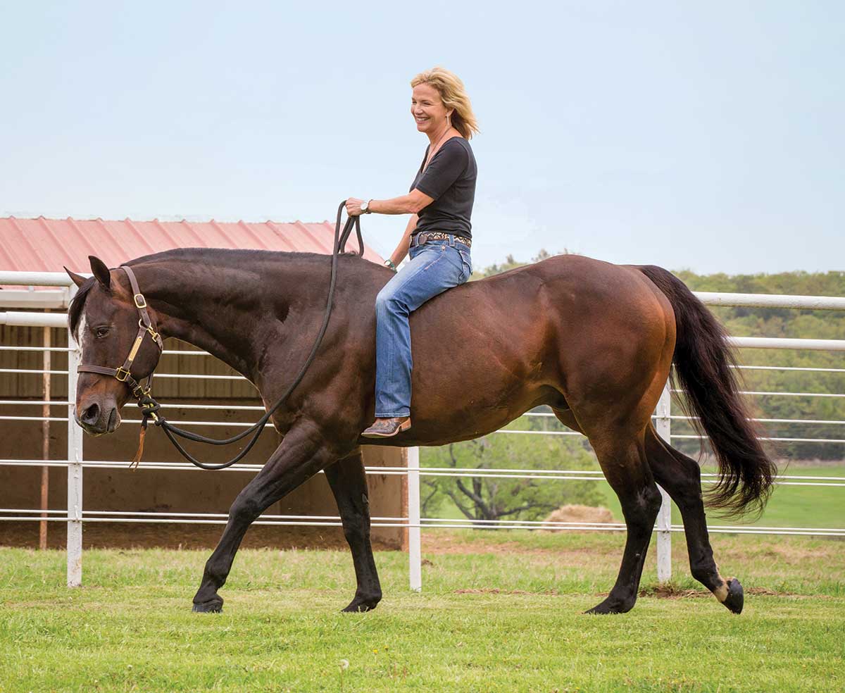 Old Riding Horse A Mature Lady In Her 80's Riding A Horse Stock Photo