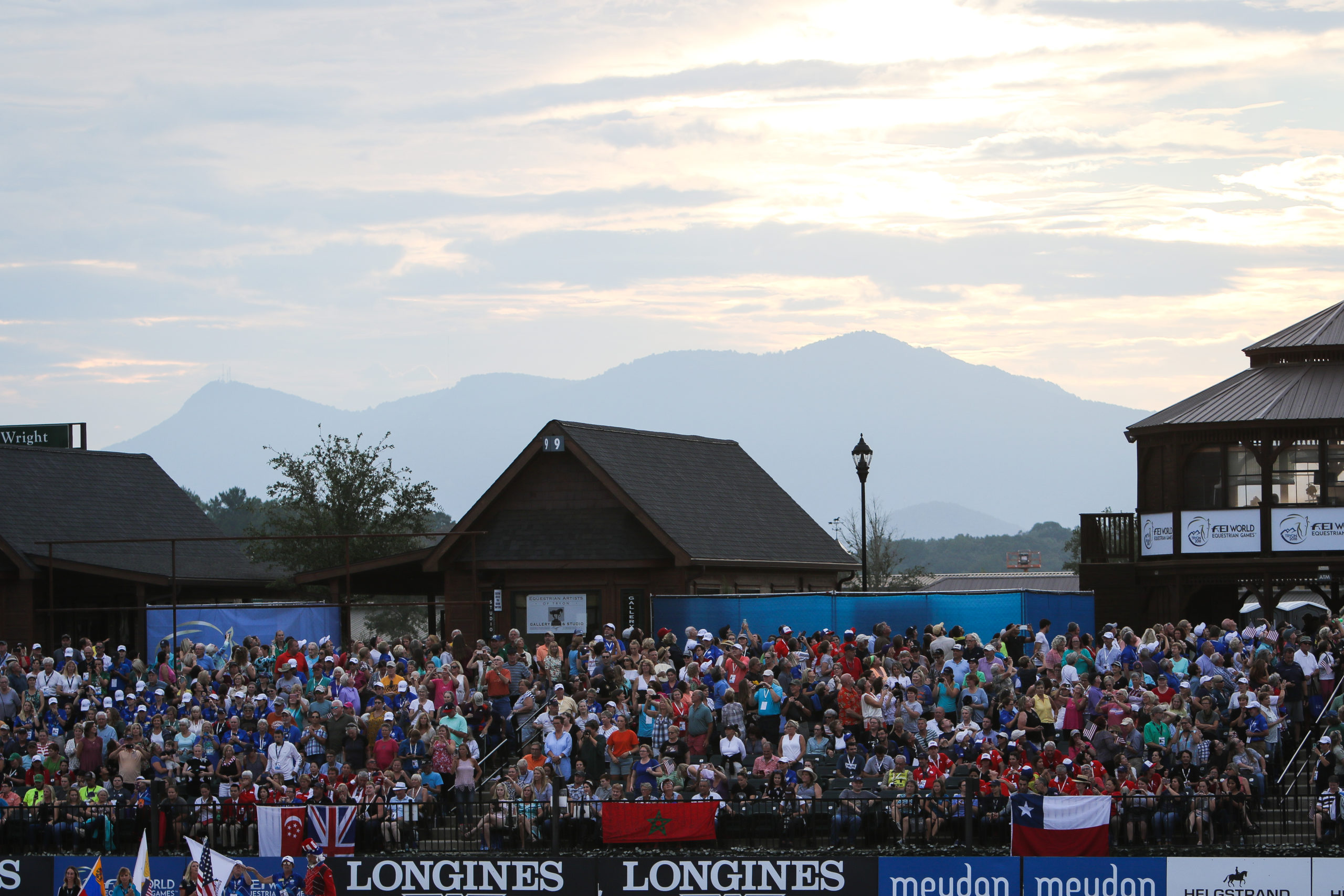 #Tryon2018: Opening Ceremonies - Horse and Rider