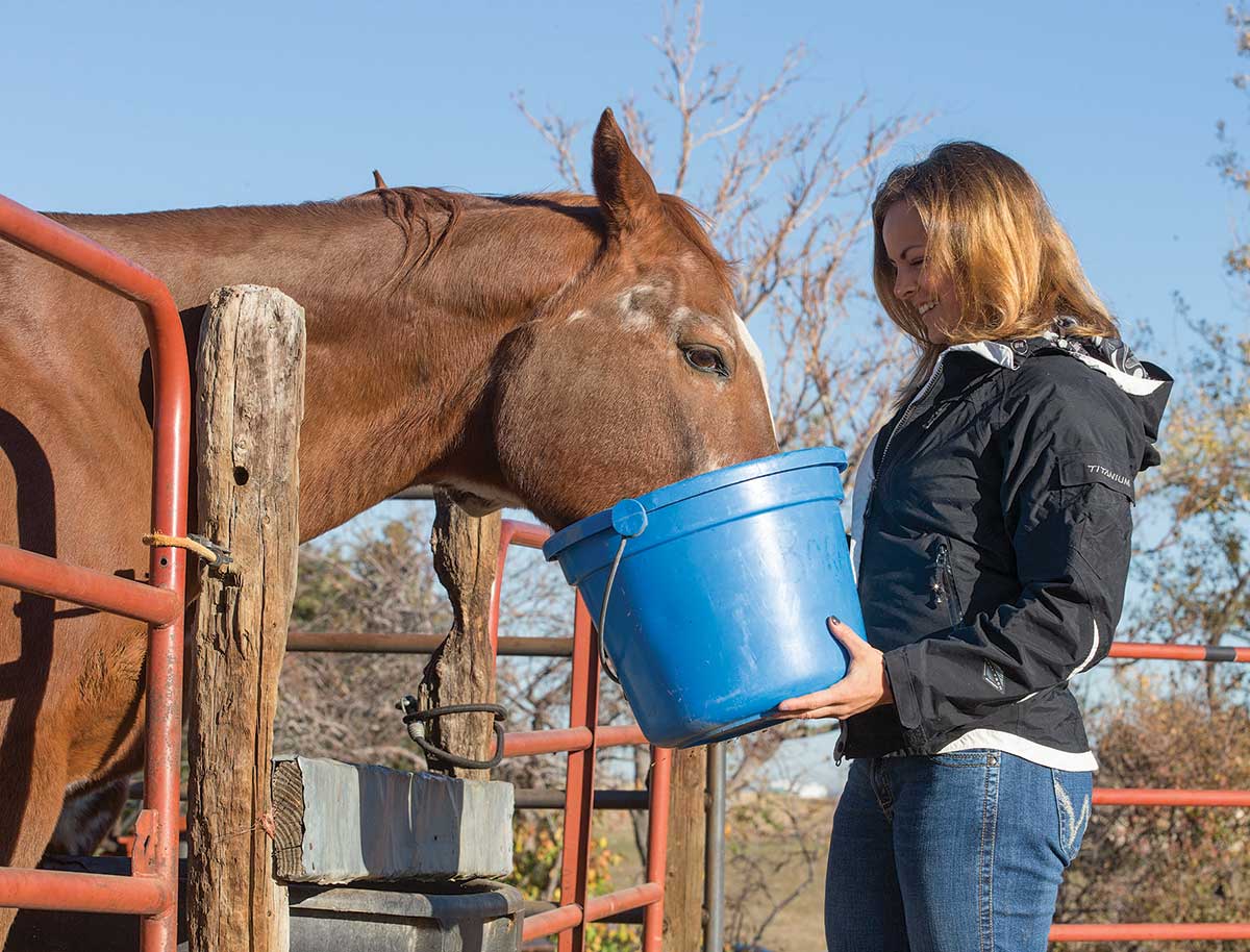 Understanding Horse Feed Labels