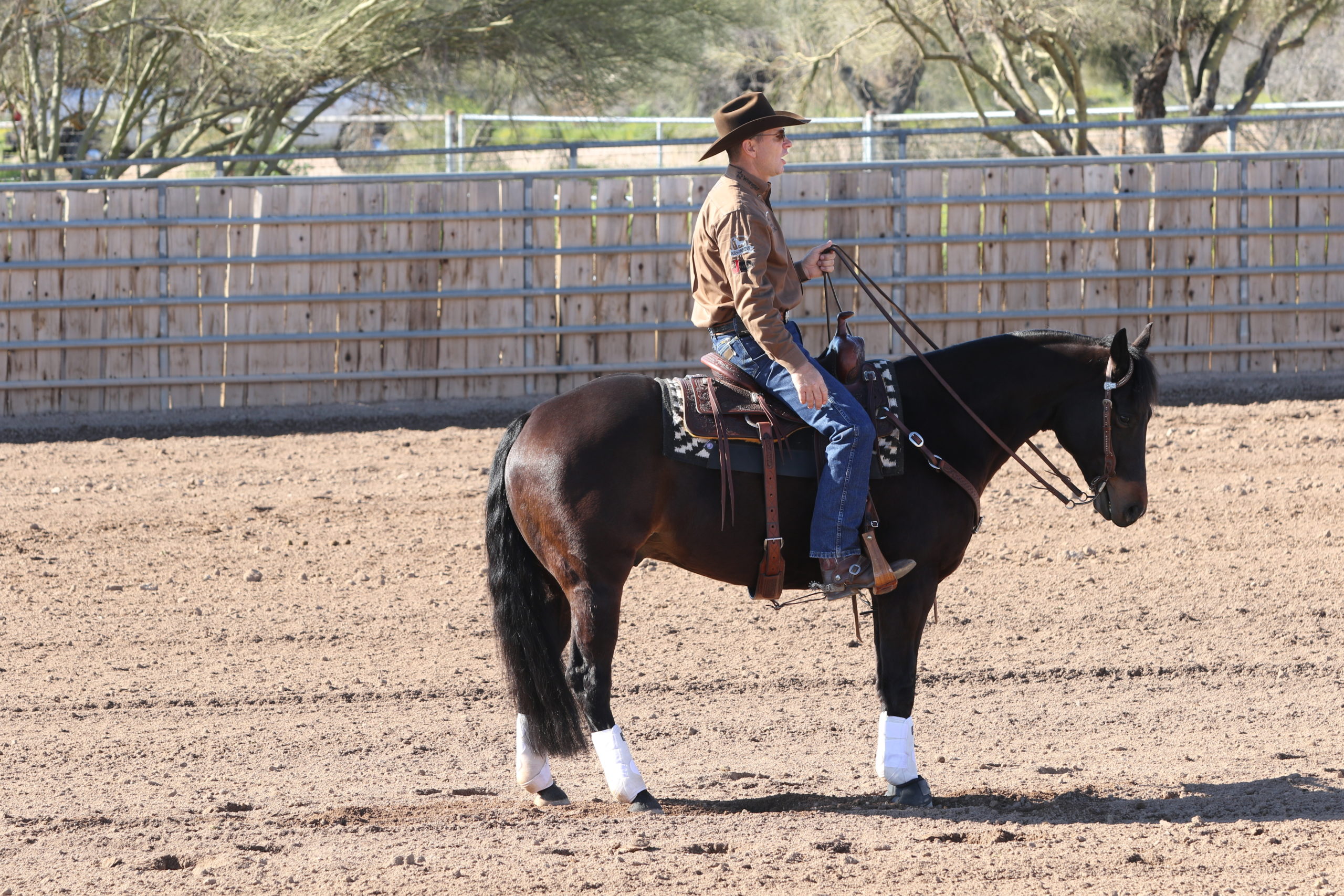 3 Basic Signals for Stopping • Mental Prep for Daily Riding - Horse and ...