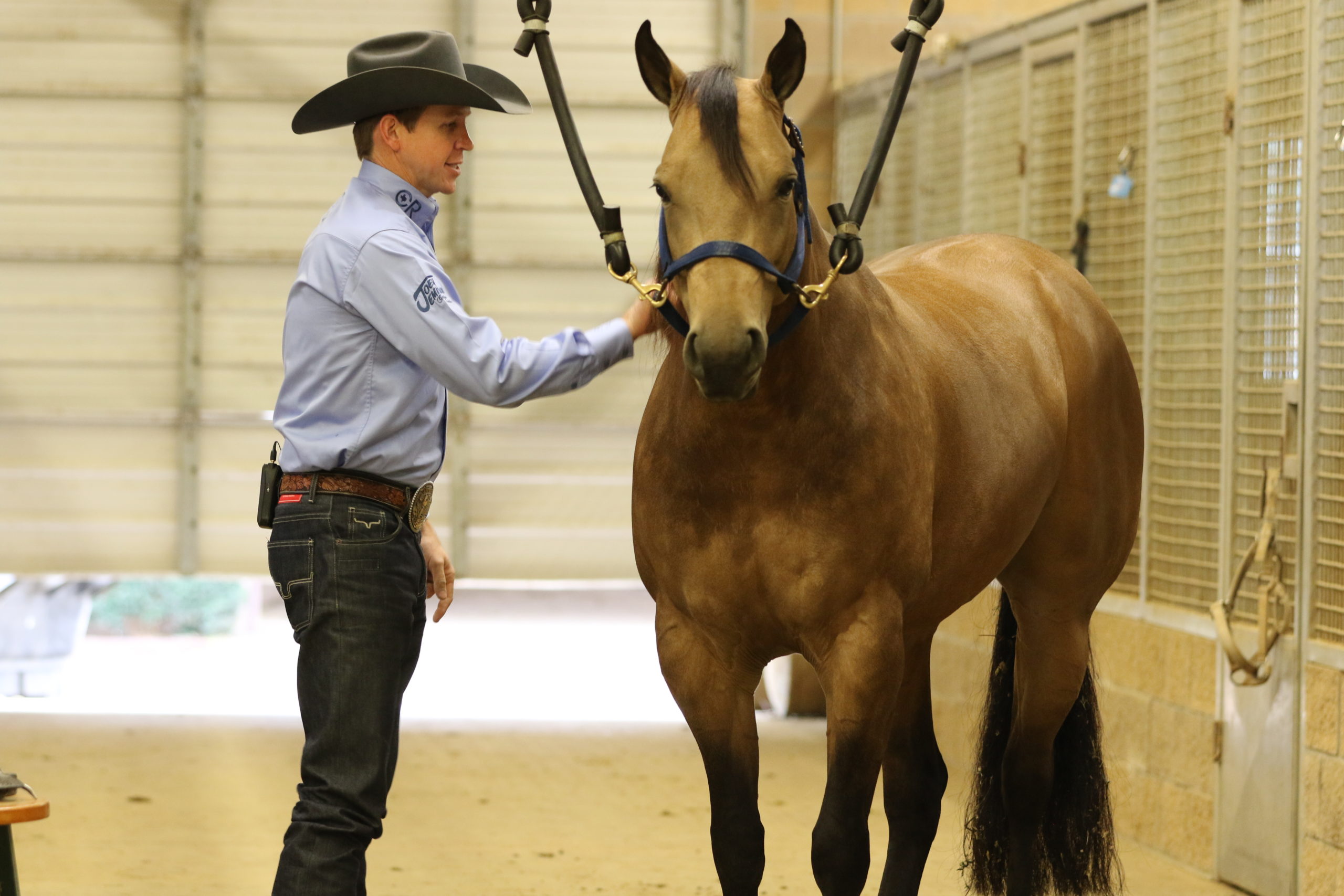 Grooming • Two-Rein Setup