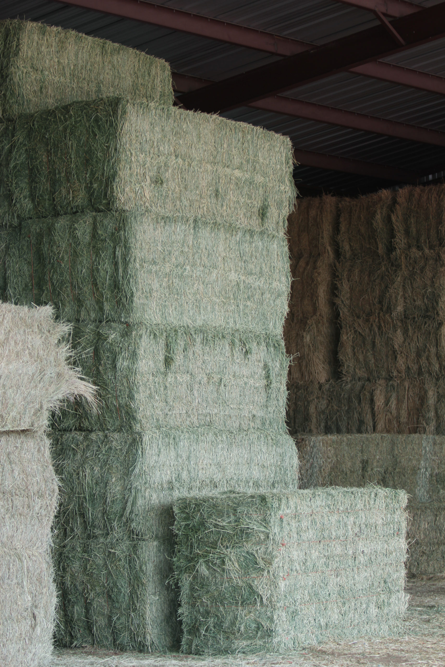 5 Things to Know When Buying Hay