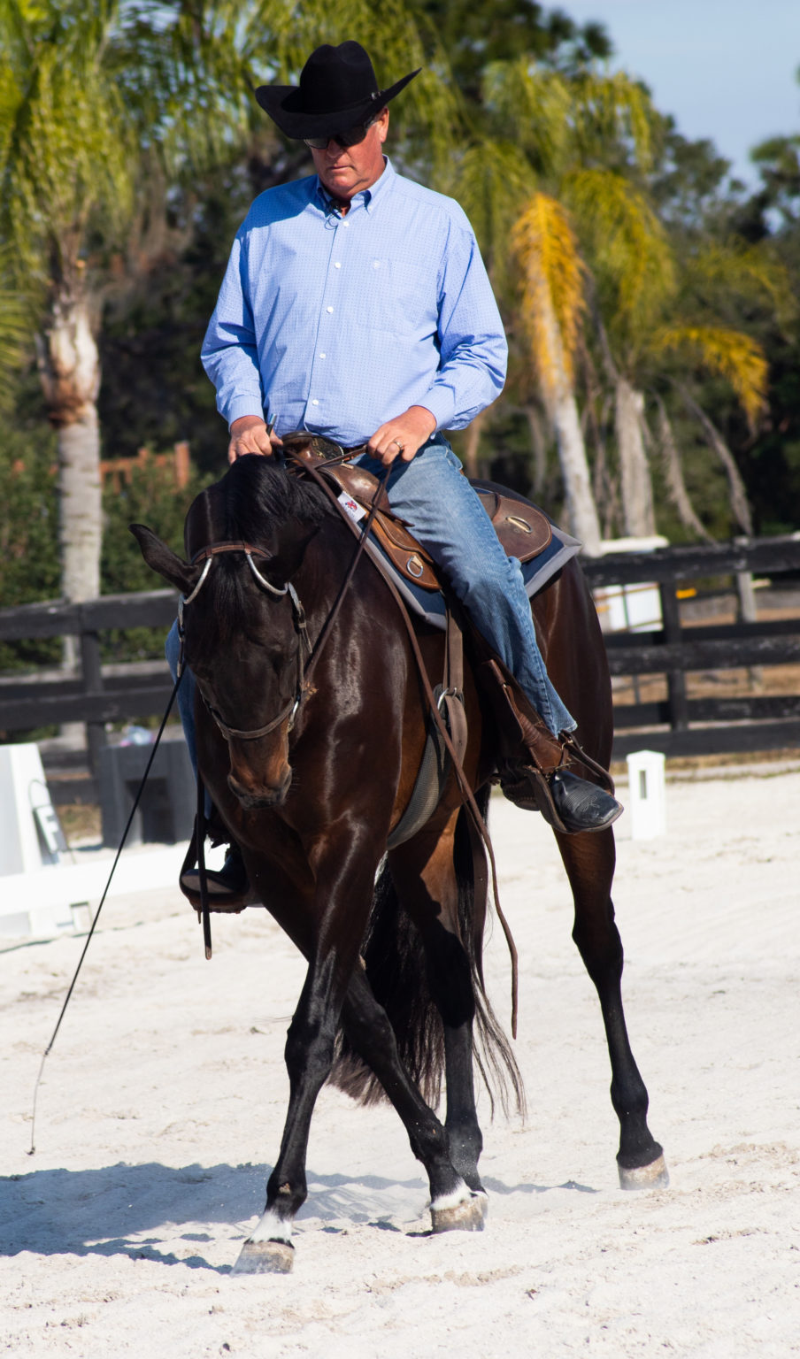 E60: The Ride- Tim Christensen - Horse and Rider