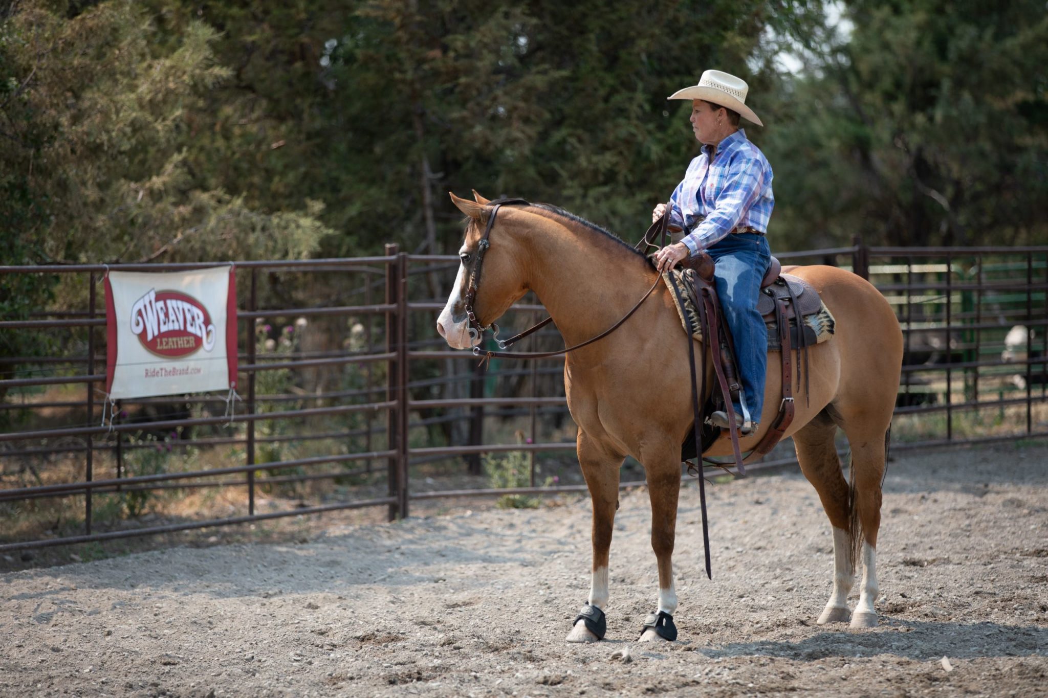 Ditch Distractions and Be a Focused Rider