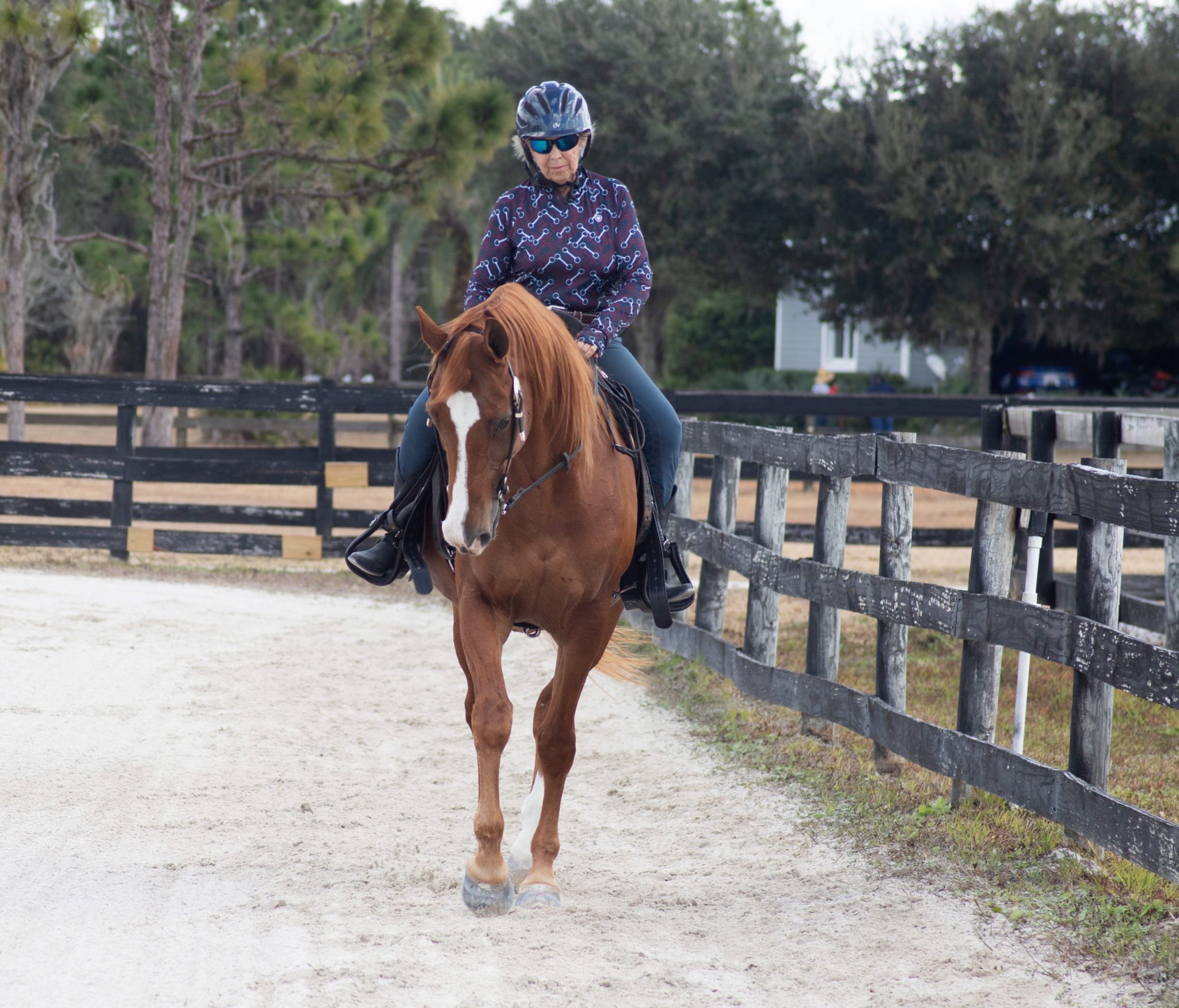 Try This Western Dressage Exercise for Suppleness - Horse and Rider