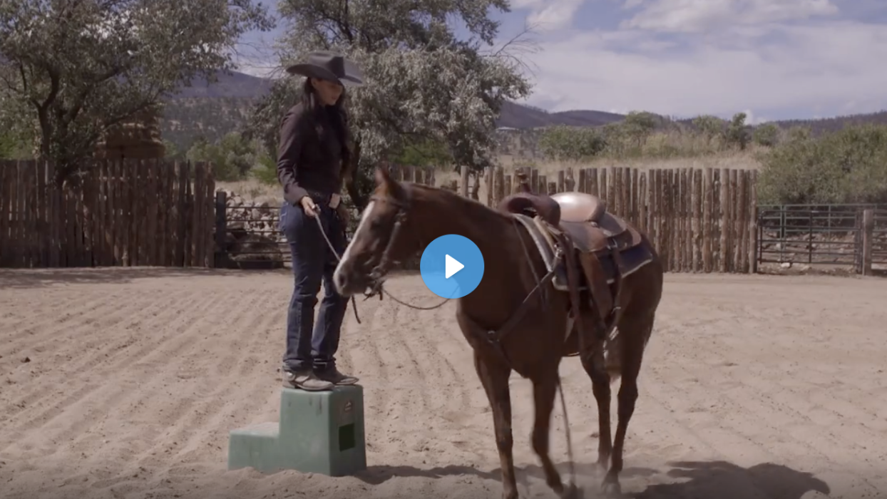 Teaching Your Horse to Use the Mounting Block - Horse and Rider