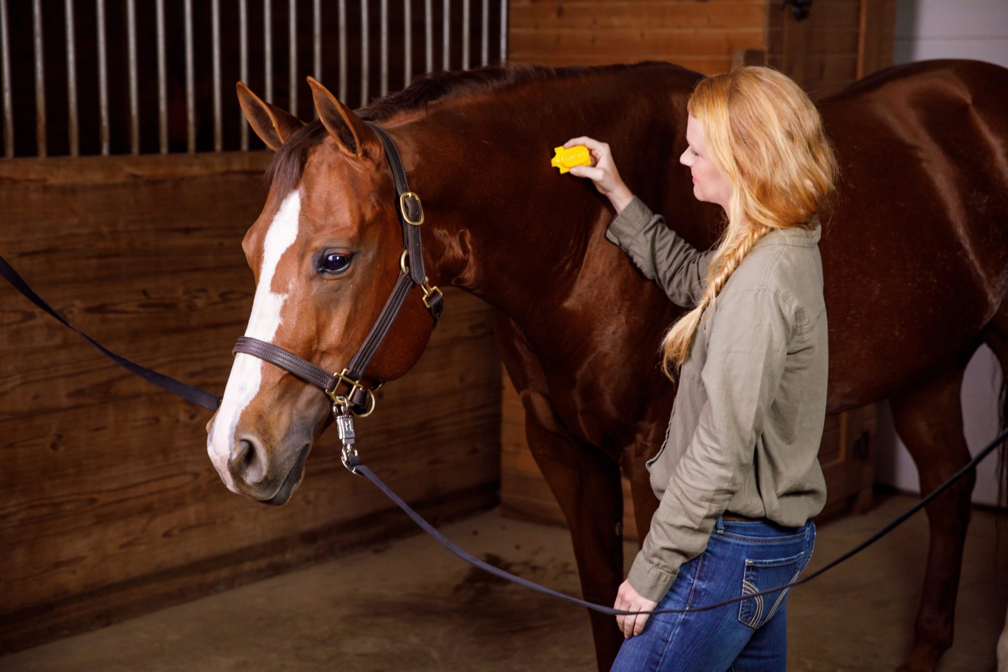 Fly Control for Horses, Upgraded! - Horse and Rider