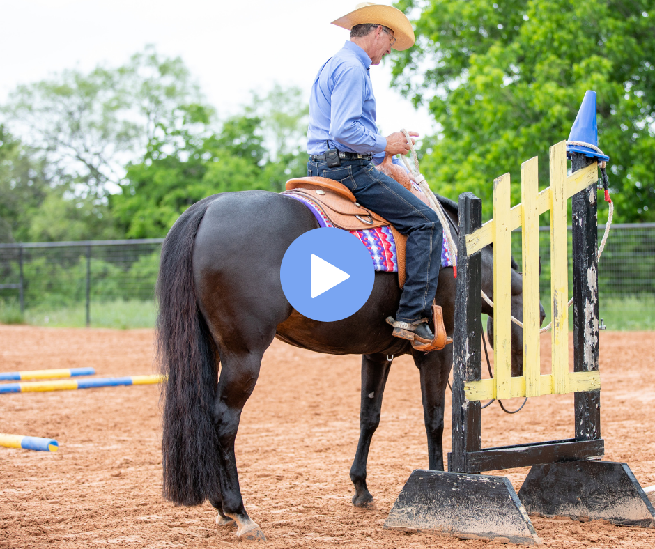 Breaking Down Each Step During Right-Hand Gate - Horse and Rider