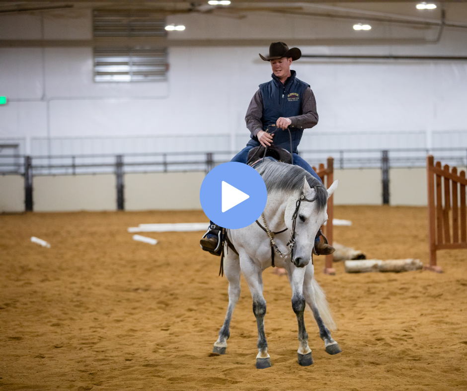 The Basics of the Ranch Trail Sidepass - Horse and Rider