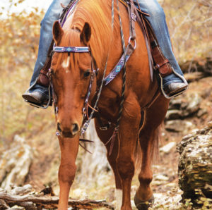 Now Trending: Breast Collars - Horse and Rider