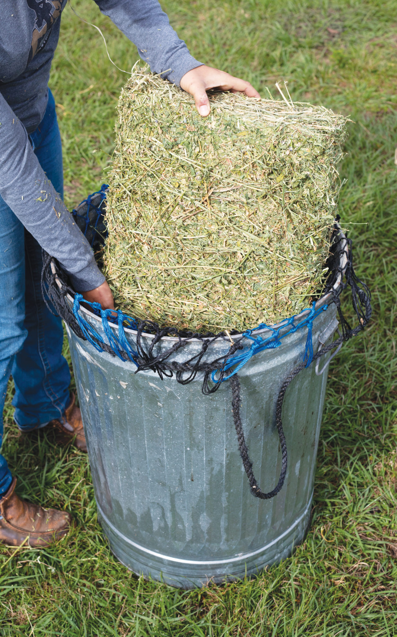 Hay Net Hack - Horse and Rider