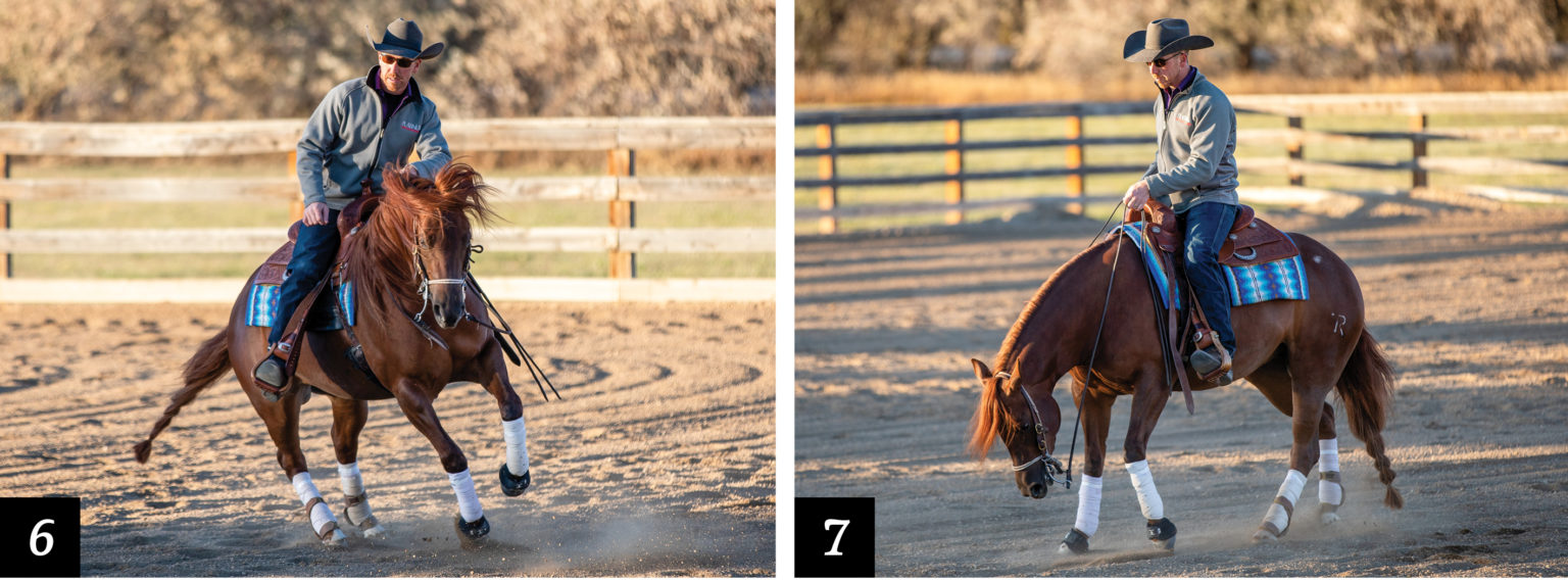 Drill Your Rollback - Horse and Rider