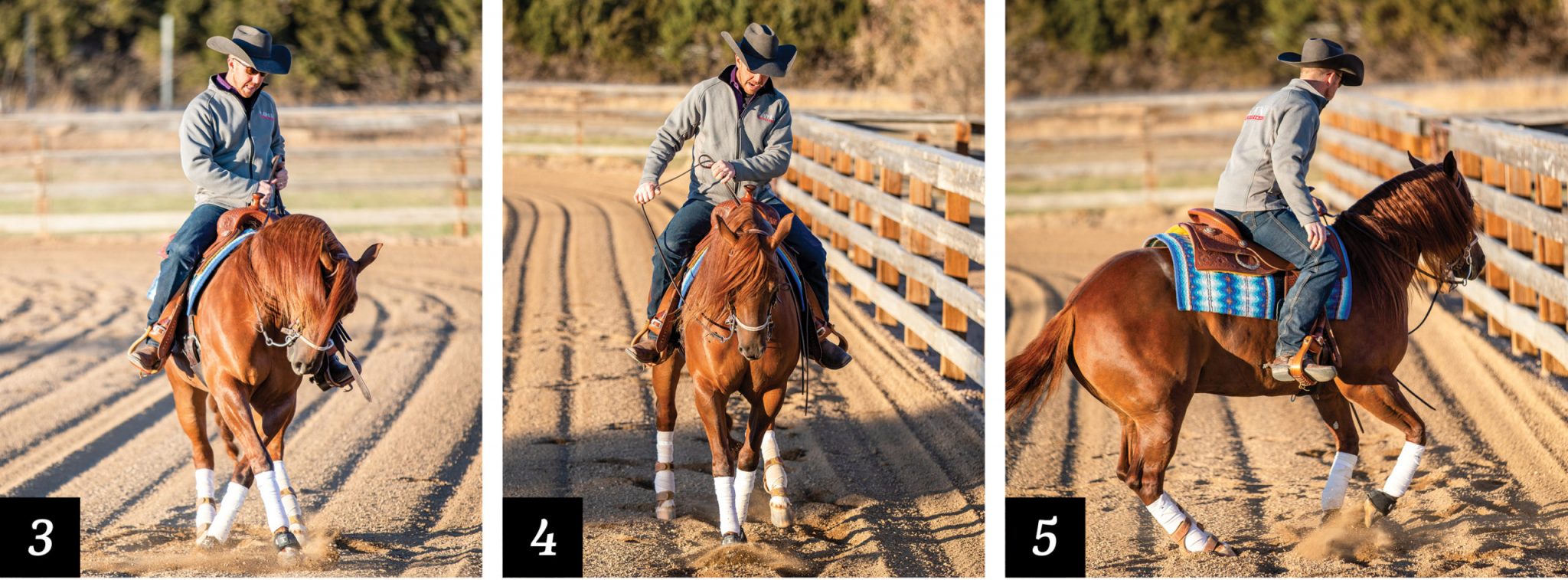 Drill Your Rollback - Horse and Rider