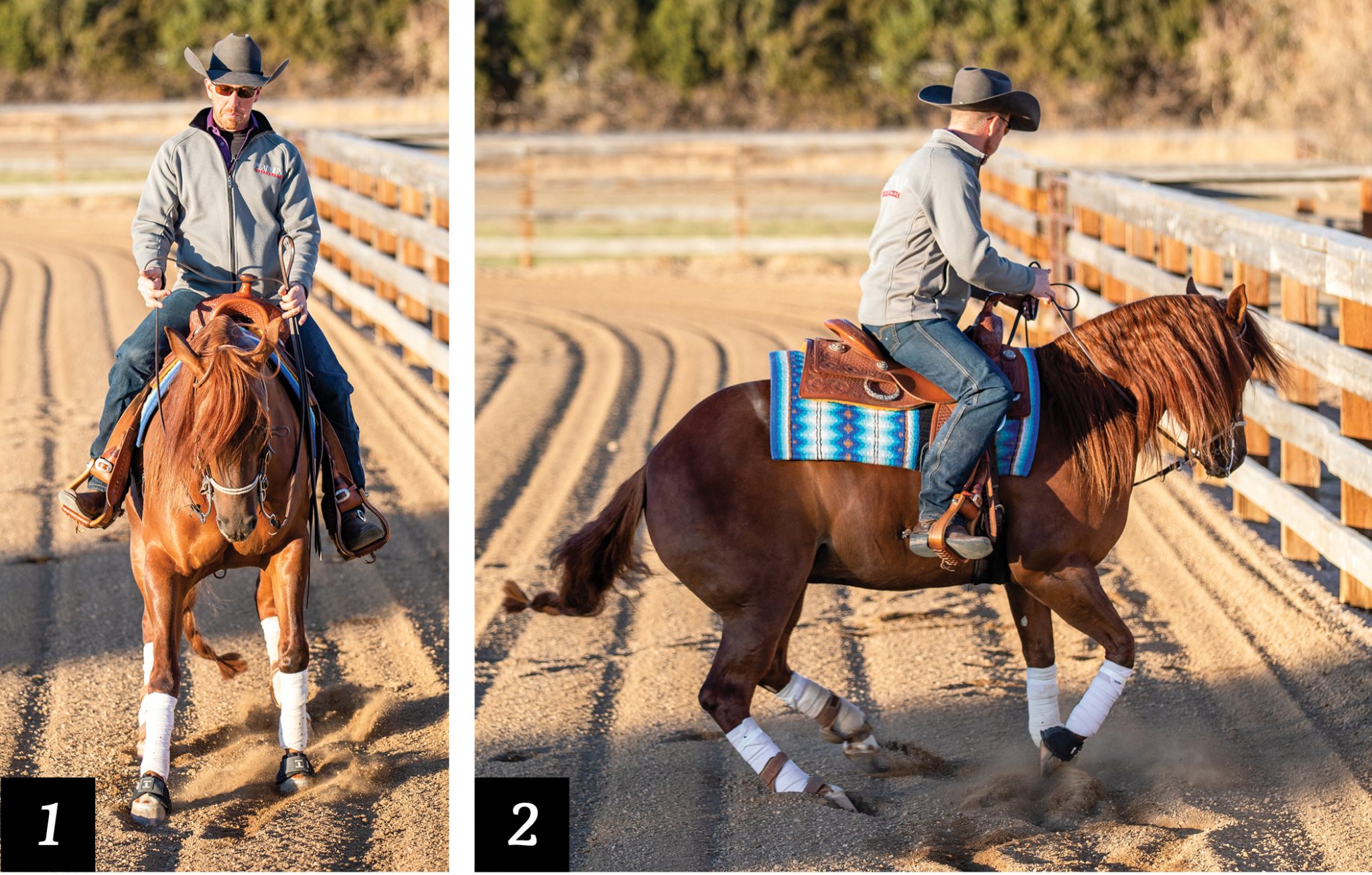 Drill Your Rollback - Horse and Rider