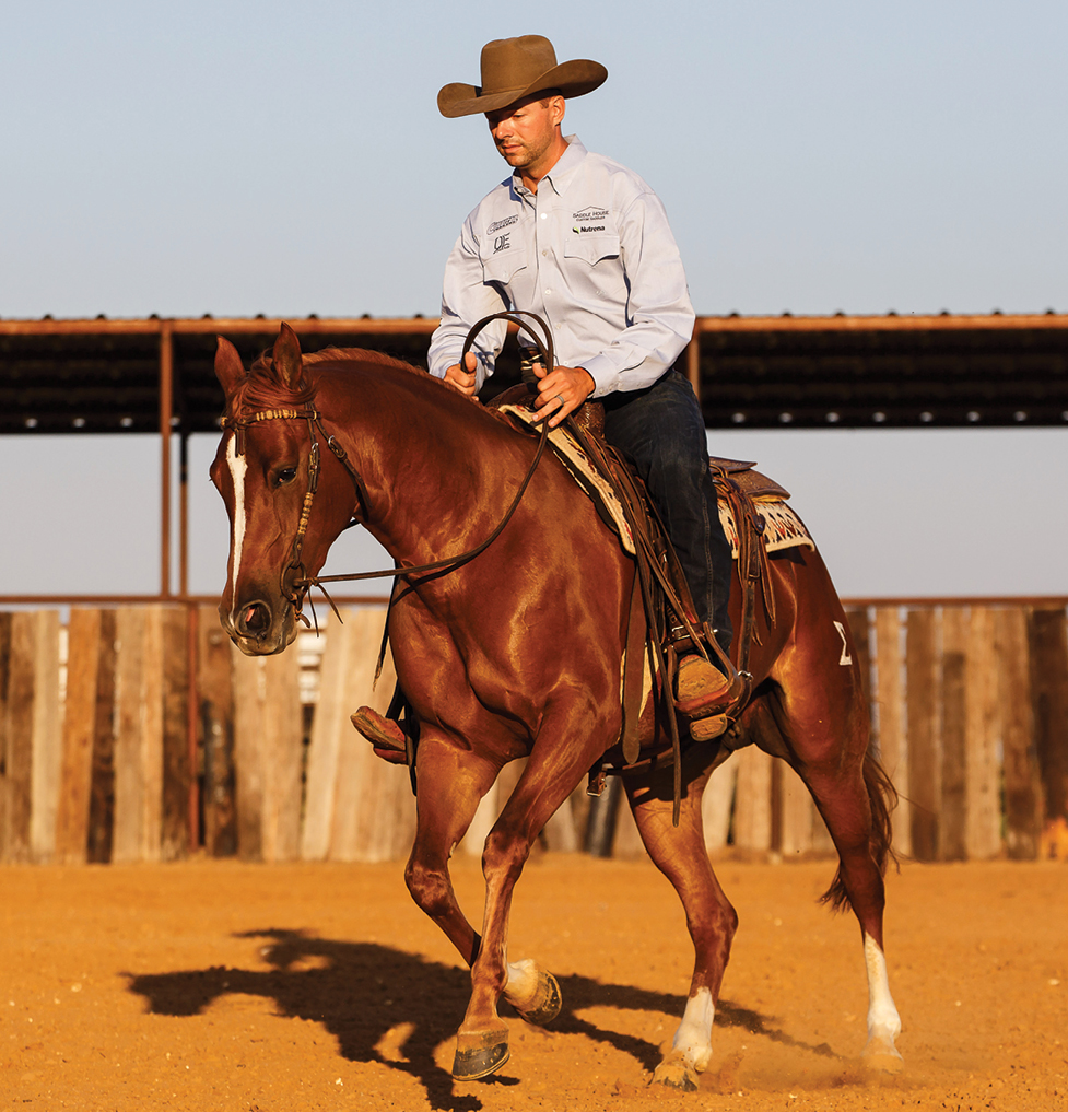 Planning for Confidence - Horse and Rider