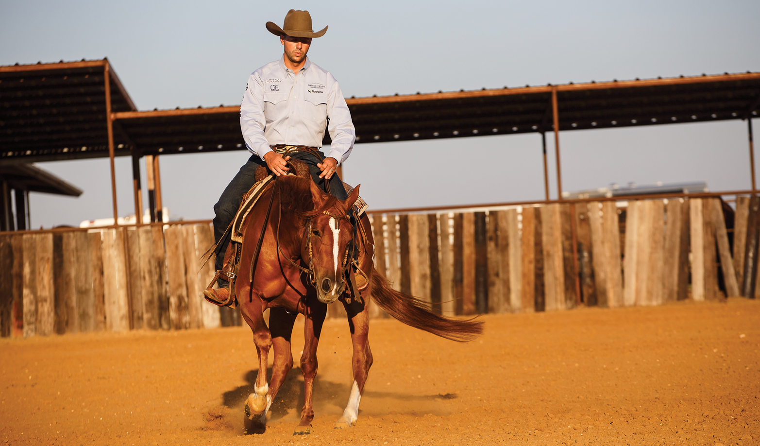 Buying a Ranch Versatility Horse