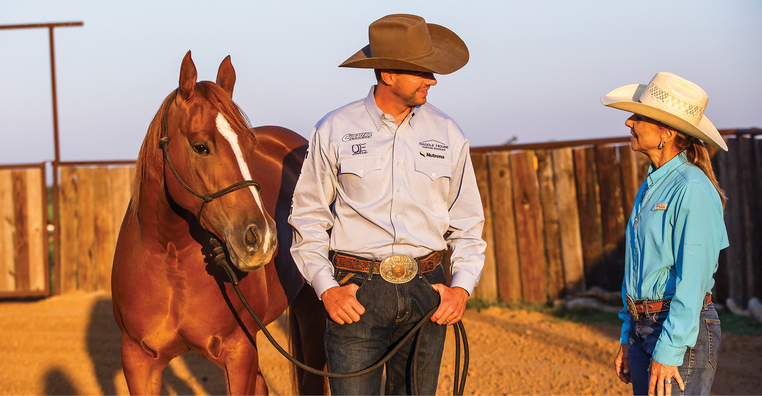 Buying a Ranch Versatility Horse