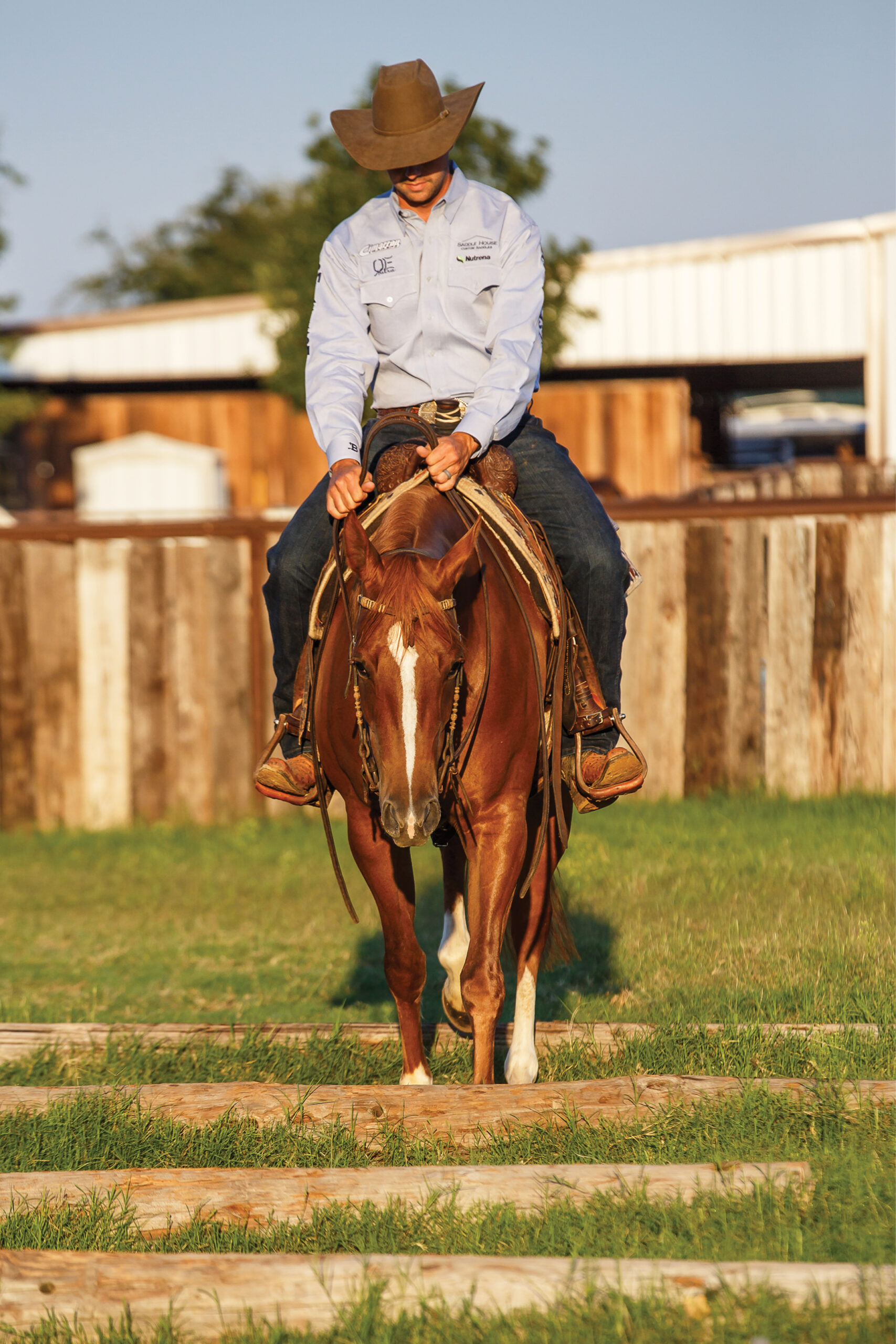 Buying a Ranch Versatility Horse