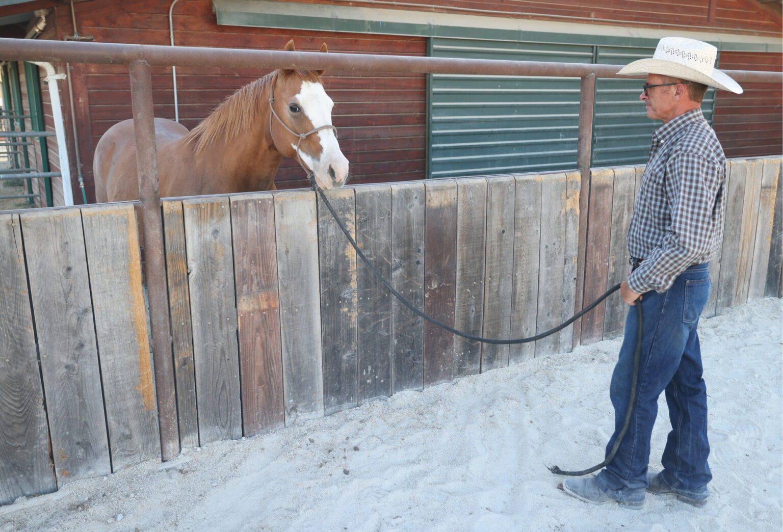 Stop a Pushy Horse - Horse&Rider