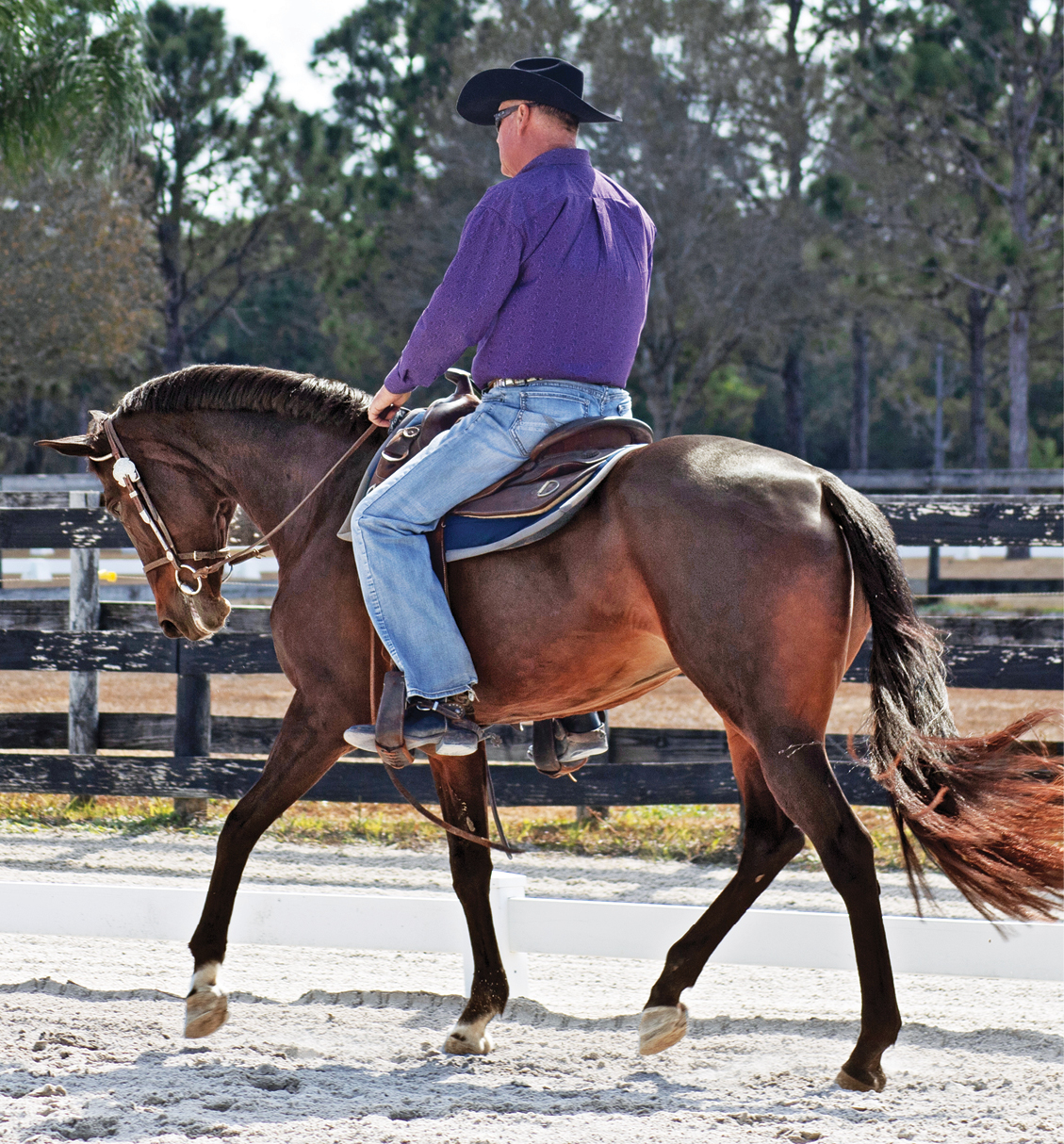 Improve Your Stop with a Western Dressage Drill