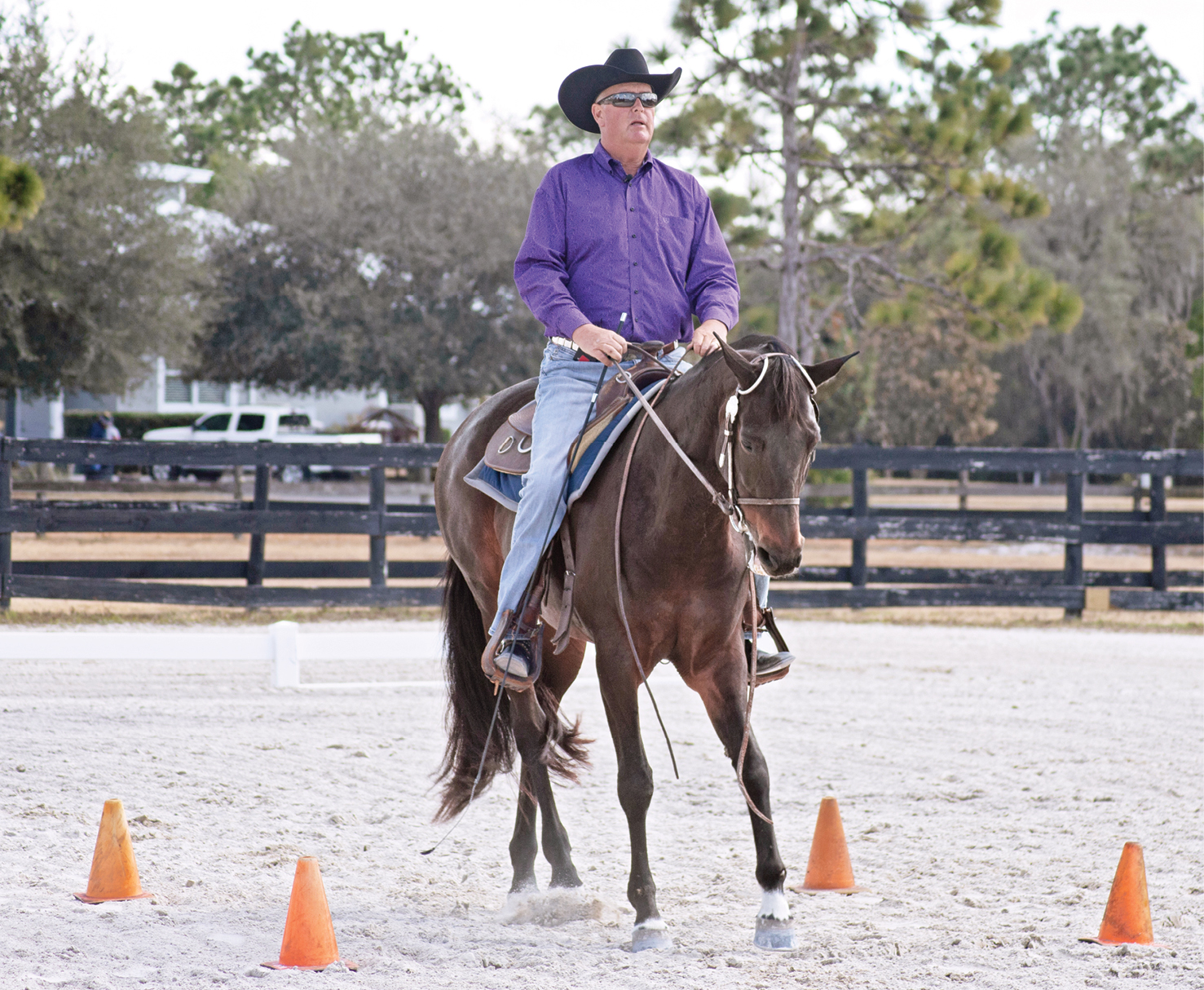Improve Your Stop with a Western Dressage Drill