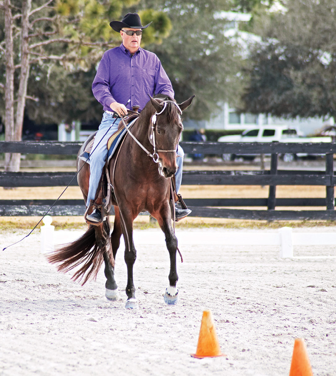 Improve Your Stop with a Western Dressage Drill