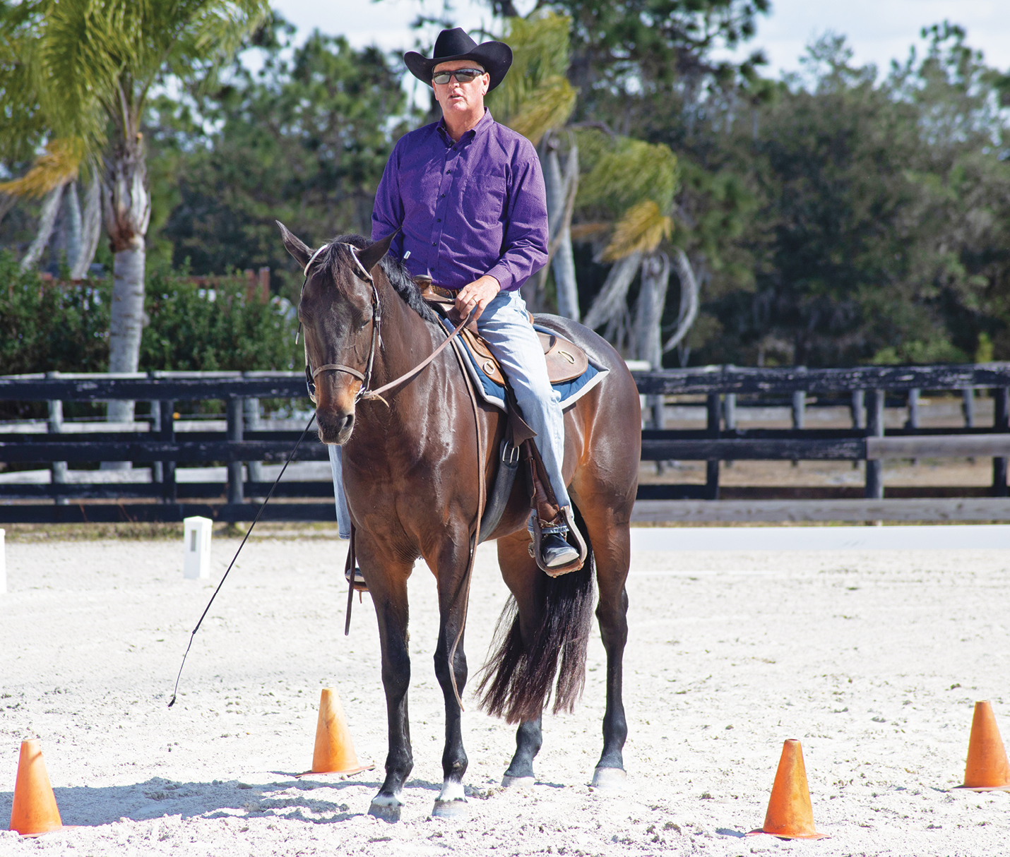 Improve Your Stop with a Western Dressage Drill