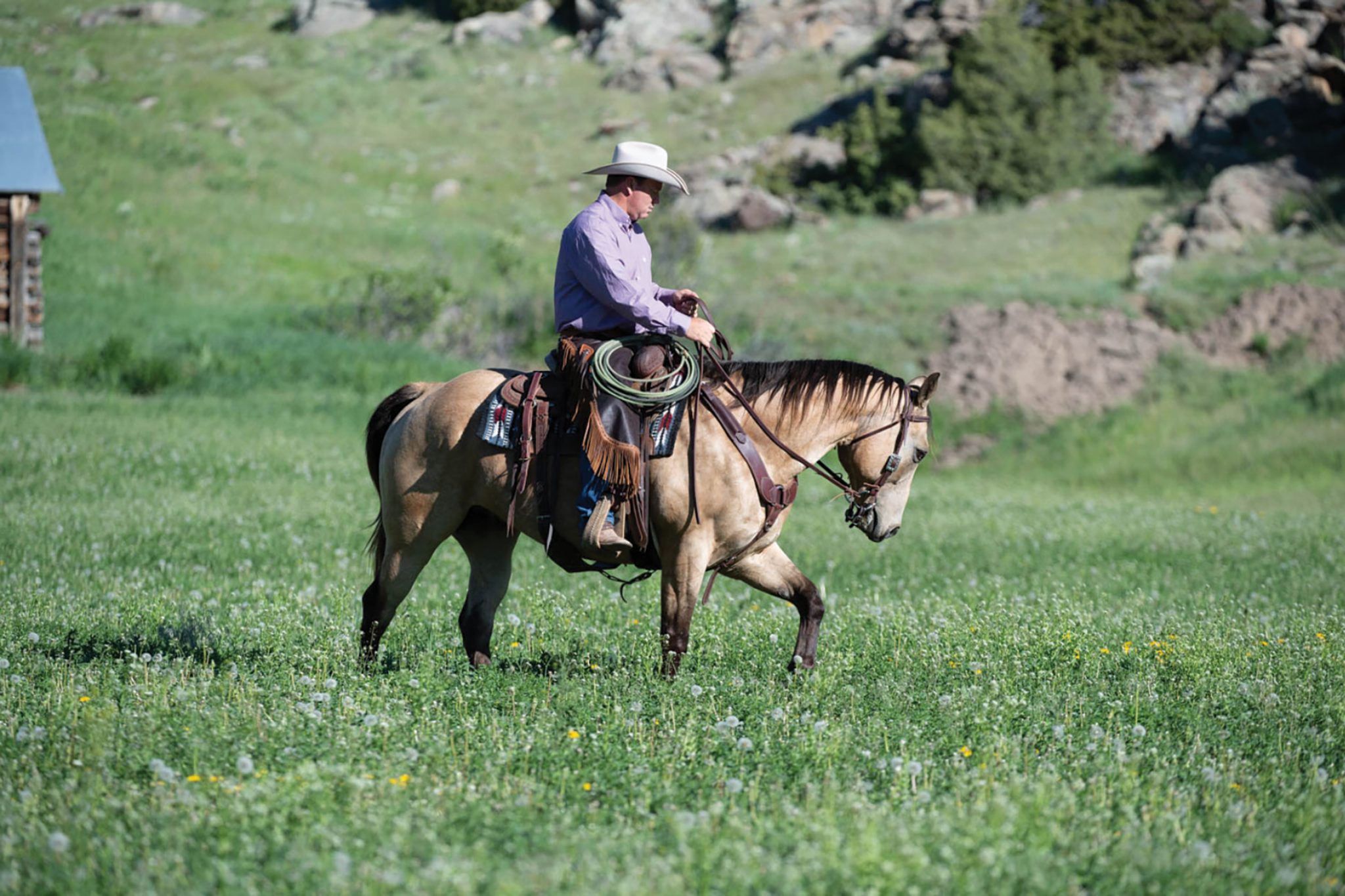 Become a Confident Rider and Know Your Horse - Horse and Rider