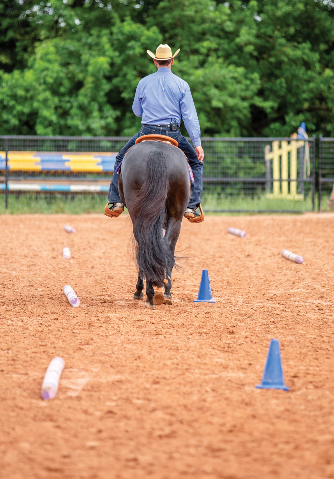 Use Poles to Help in Western Riding